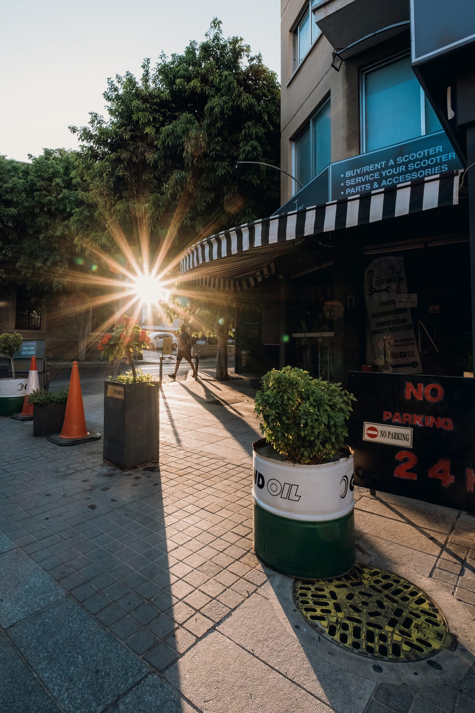 Mayflower: A Company Guide